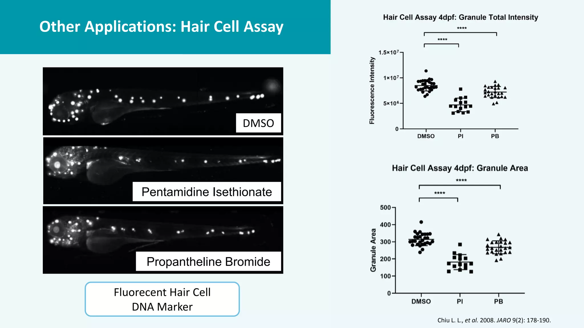 Casting a Wider Net in Zebrafish Screening with Automated Microscopy and Image Analysis | PPTX