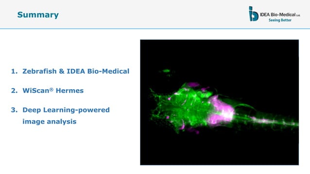 Casting a Wider Net in Zebrafish Screening with Automated Microscopy and Image Analysis | PPTX