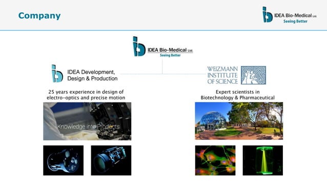 Casting a Wider Net in Zebrafish Screening with Automated Microscopy and Image Analysis | PPTX