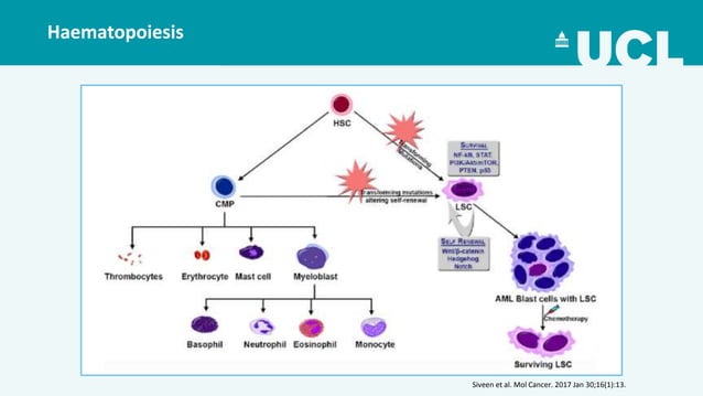 Casting a Wider Net in Zebrafish Screening with Automated Microscopy and Image Analysis | PPTX