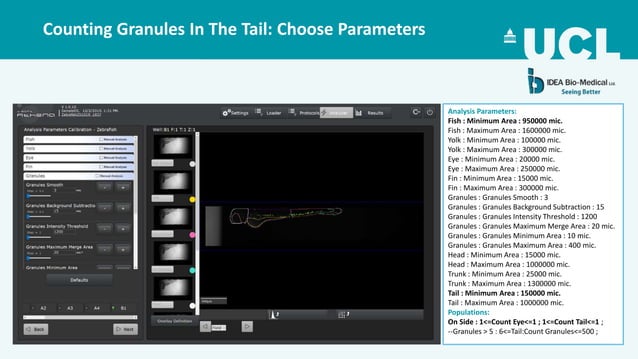 Casting a Wider Net in Zebrafish Screening with Automated Microscopy and Image Analysis | PPTX
