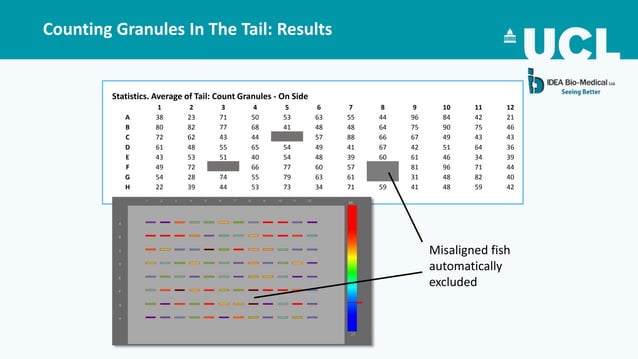 Casting a Wider Net in Zebrafish Screening with Automated Microscopy and Image Analysis | PPTX