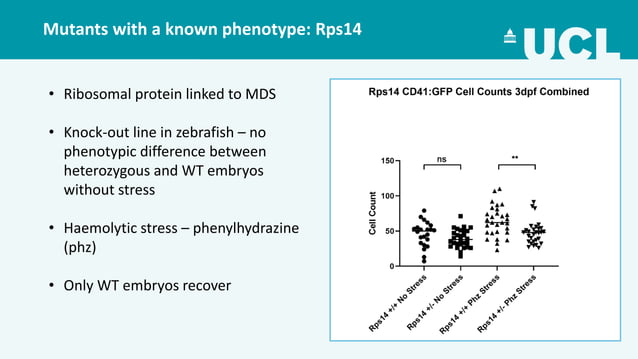 Casting a Wider Net in Zebrafish Screening with Automated Microscopy and Image Analysis | PPTX
