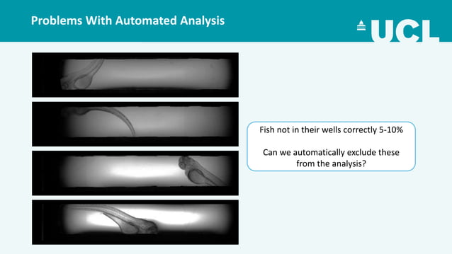 Casting a Wider Net in Zebrafish Screening with Automated Microscopy and Image Analysis | PPTX