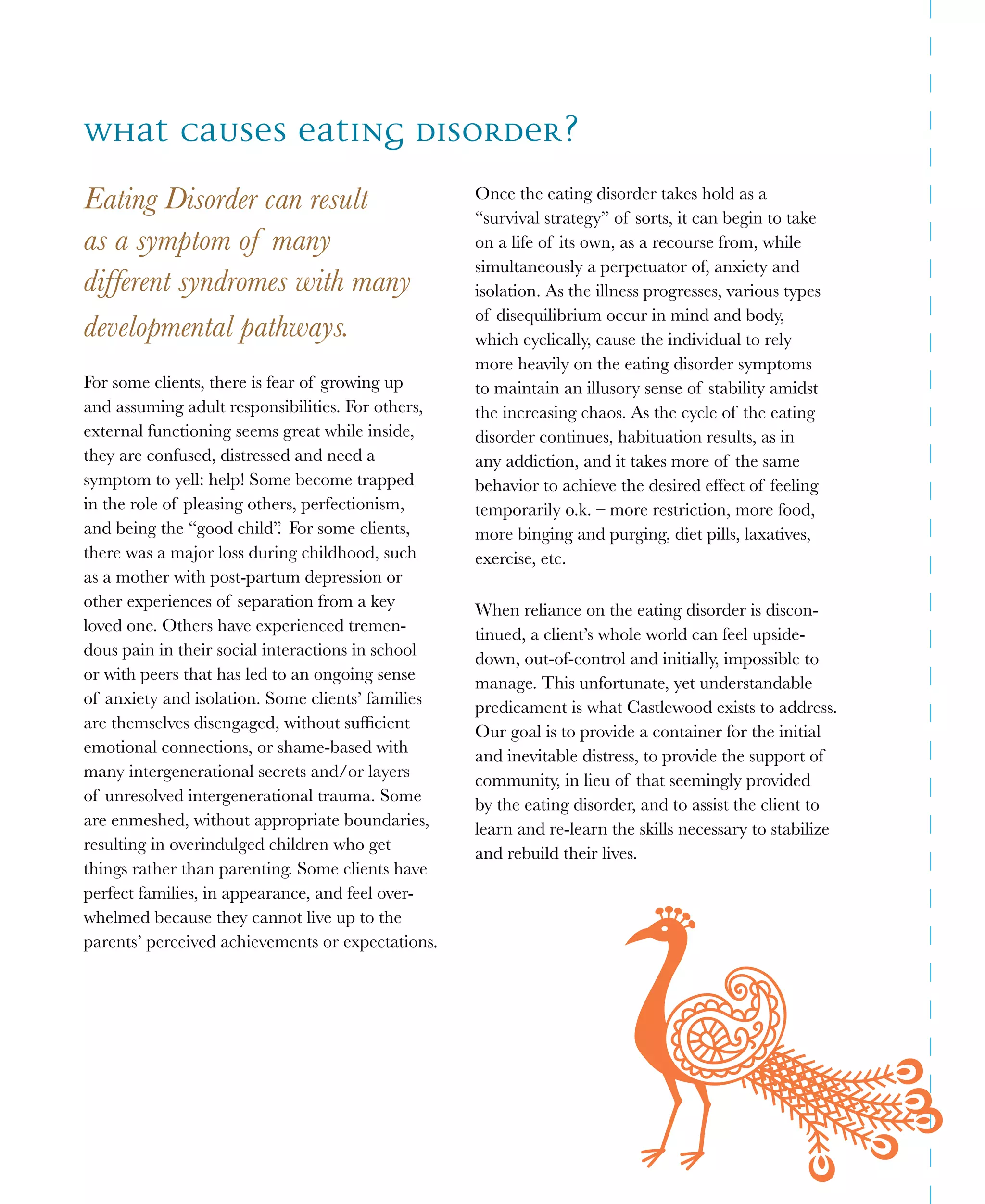 Castlewood eating disorder treatment center brochure | PDF