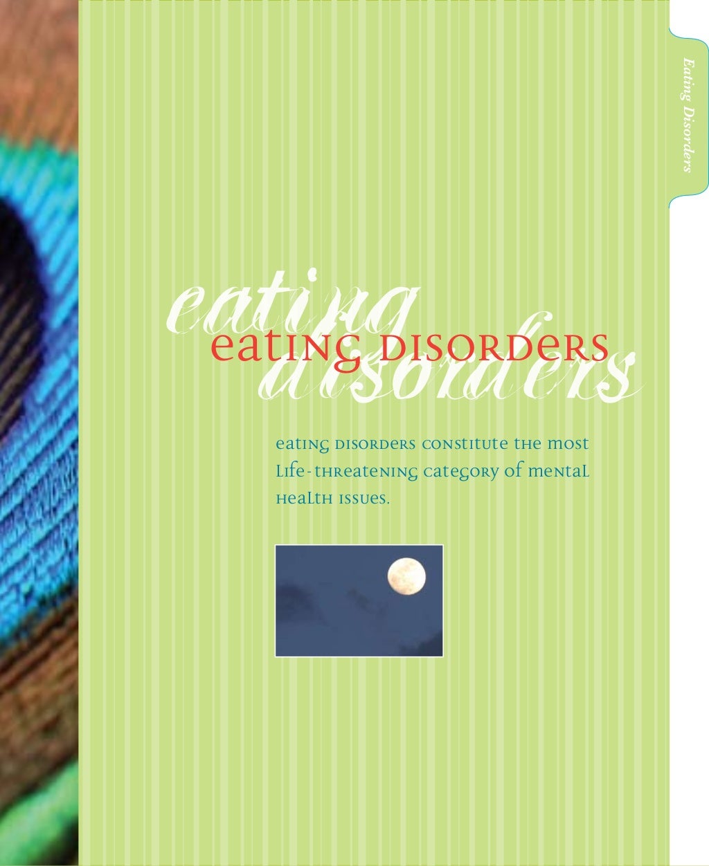 Castlewood eating disorder treatment center brochure