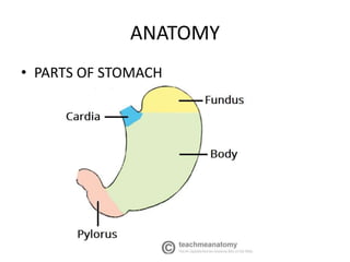 Ca stomach | PPTX