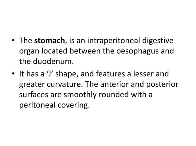 Ca stomach | PPT | Free Download