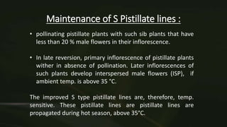 present, past and future prosepcts of castor and its hybrid seed ...