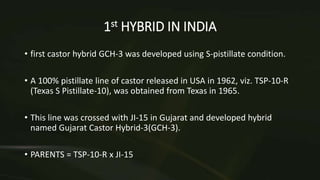 present, past and future prosepcts of castor and its hybrid seed ...