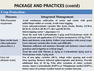 Castor_28-03-2017.pptx