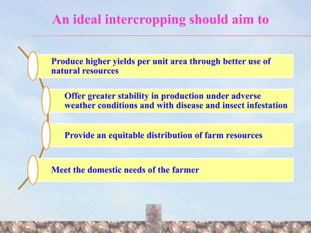 Castor based intercropping systems | PPTX