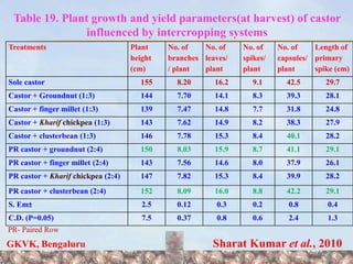 Castor based intercropping systems | PPTX