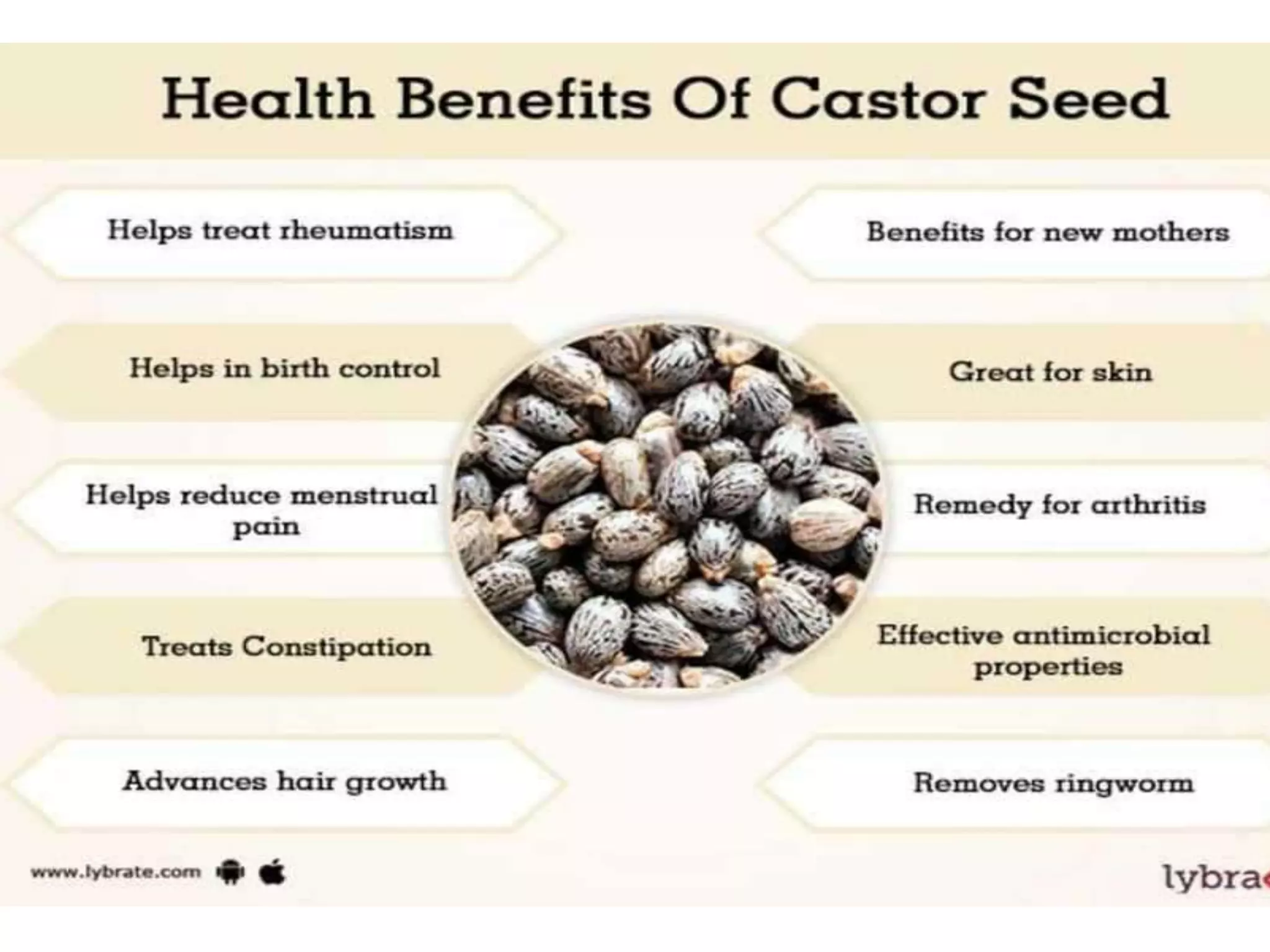 Castor farming for Oil Production | PPT