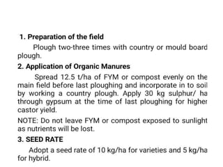 Castor farming for Oil Production | PPTX