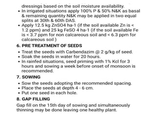 Castor farming for Oil Production | PPTX