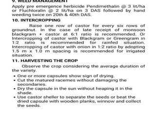 Castor farming for Oil Production | PPT