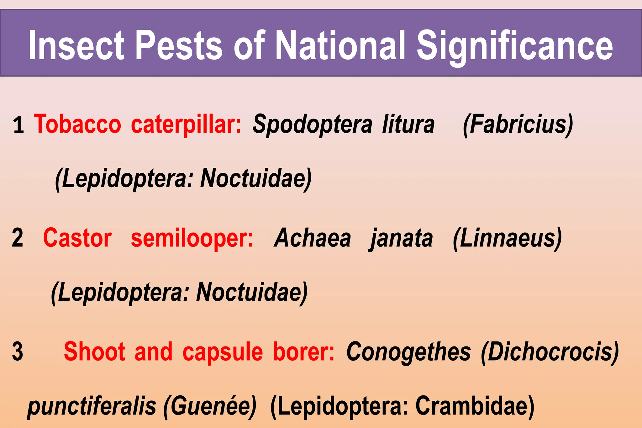 CASTOR IPM (INTEGRATED PEST MANAGEMENT BY MANISH JINDAL) | PPTX