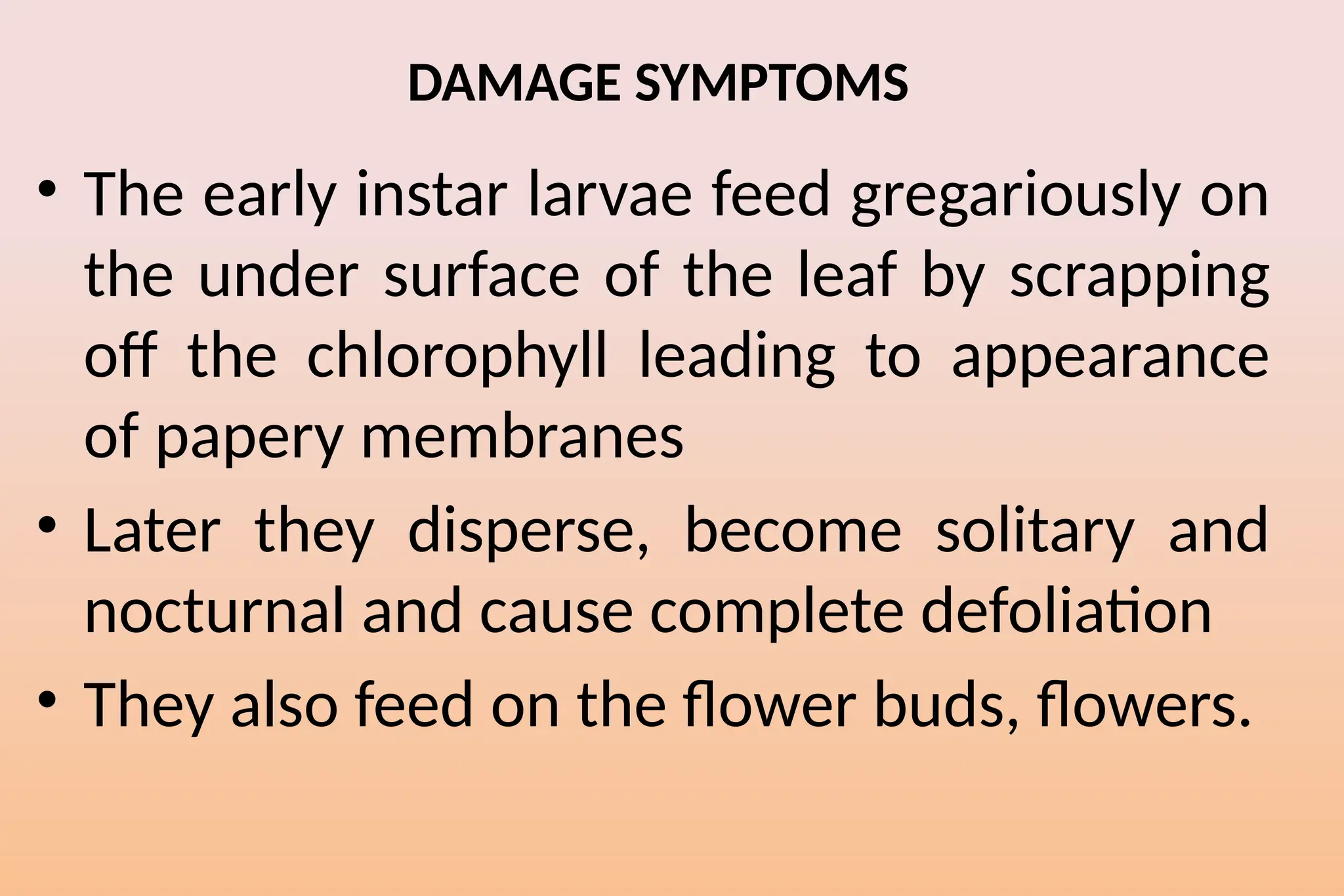 CASTOR IPM (INTEGRATED PEST MANAGEMENT BY MANISH JINDAL) | PPTX