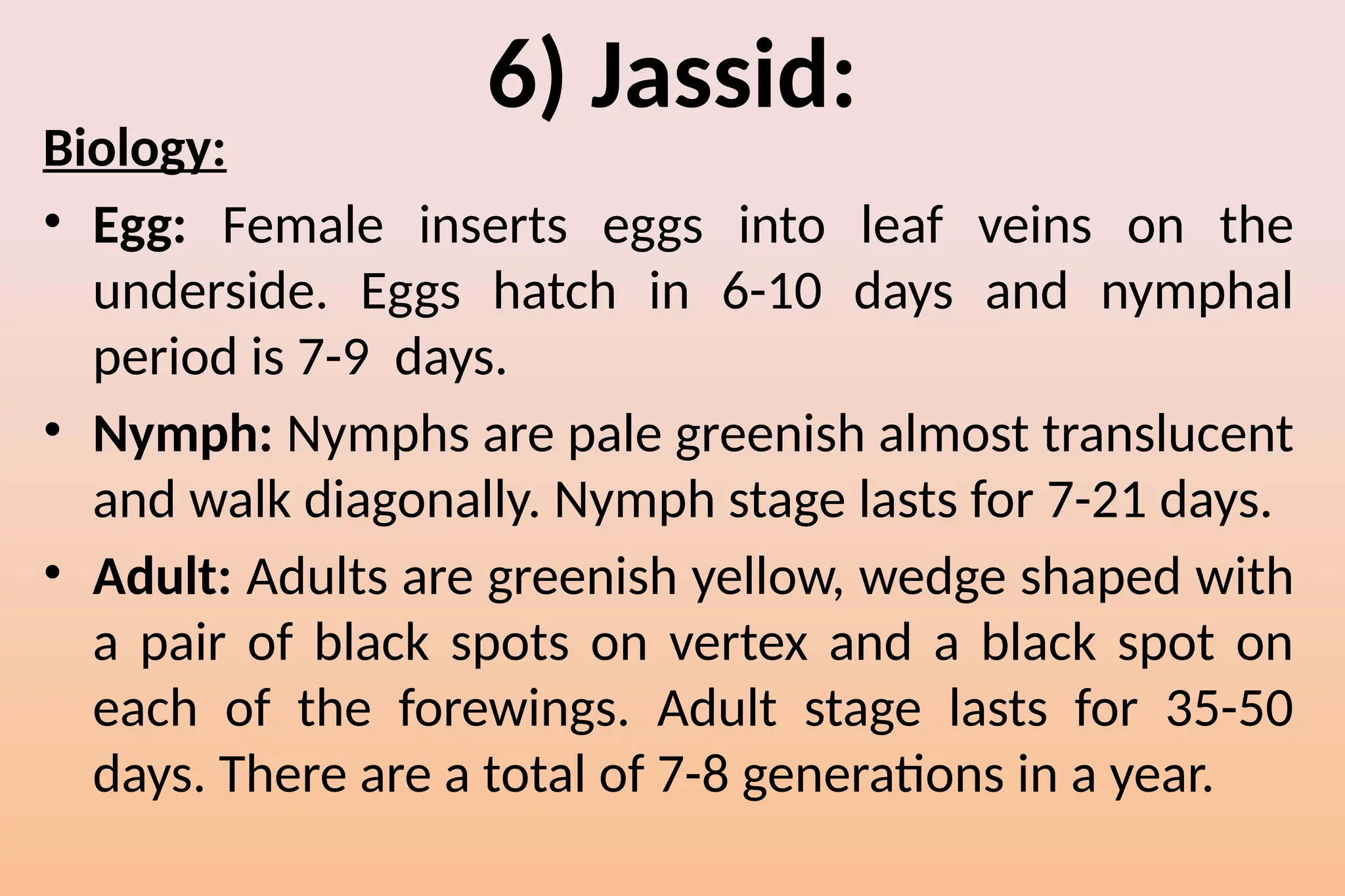 CASTOR IPM (INTEGRATED PEST MANAGEMENT BY MANISH JINDAL) | PPTX