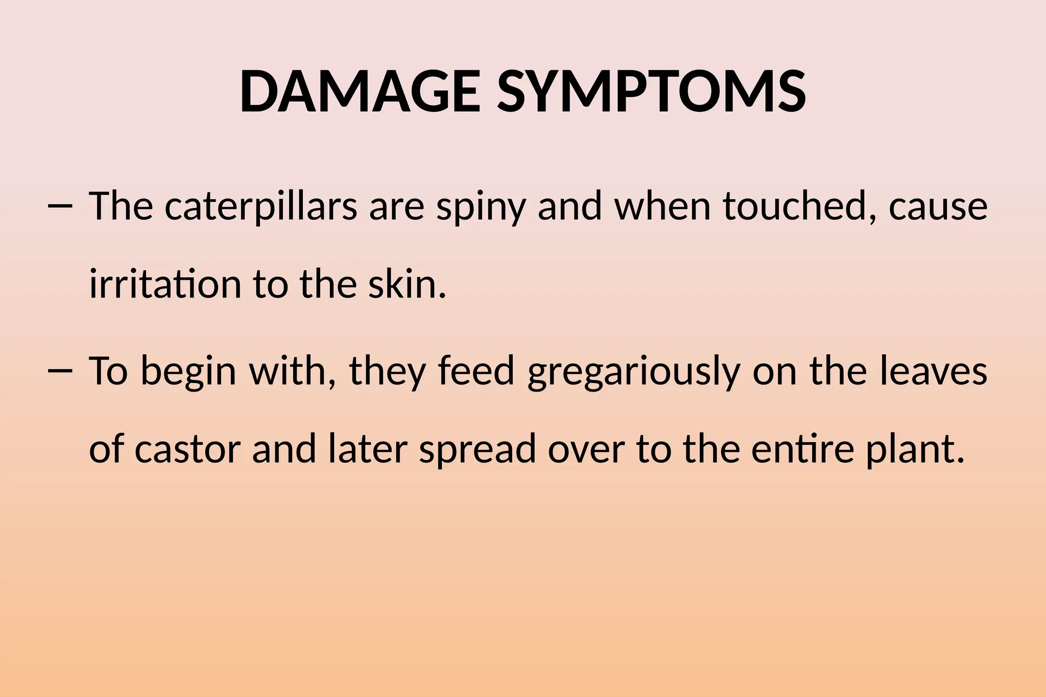 CASTOR IPM (INTEGRATED PEST MANAGEMENT BY MANISH JINDAL) | PPTX