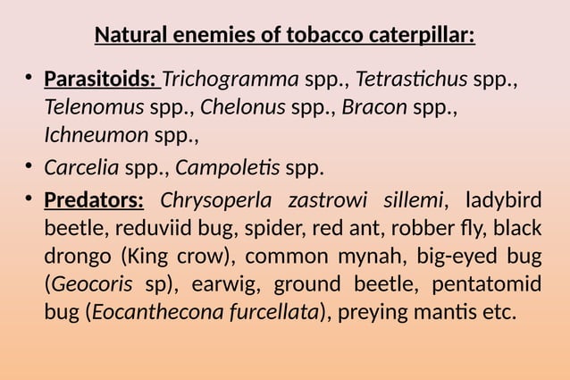 CASTOR IPM (INTEGRATED PEST MANAGEMENT BY MANISH JINDAL) | PPTX