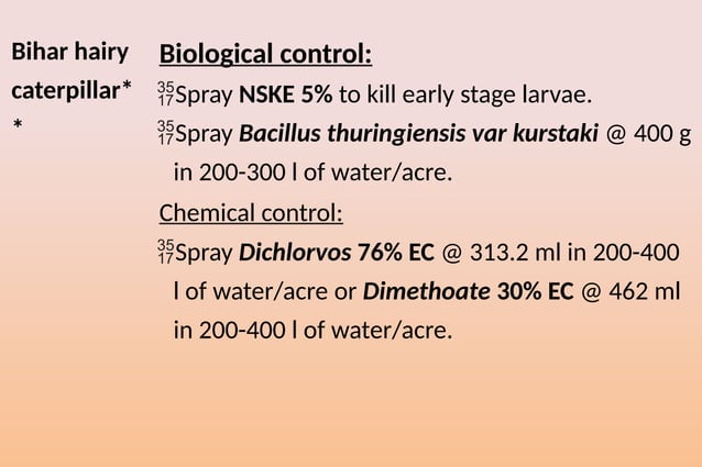 CASTOR IPM (INTEGRATED PEST MANAGEMENT BY MANISH JINDAL) | PPTX