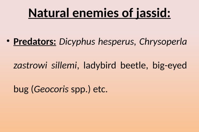 CASTOR IPM (INTEGRATED PEST MANAGEMENT BY MANISH JINDAL) | PPTX