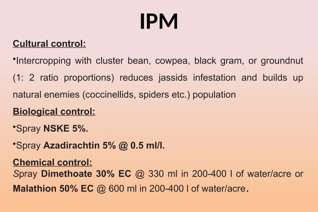 CASTOR IPM (INTEGRATED PEST MANAGEMENT BY MANISH JINDAL) | PPTX
