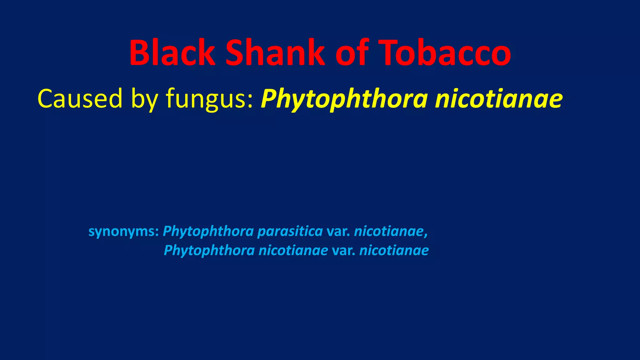 Phytophthora blight of Caster and Black shank of Tabocco | PPTX