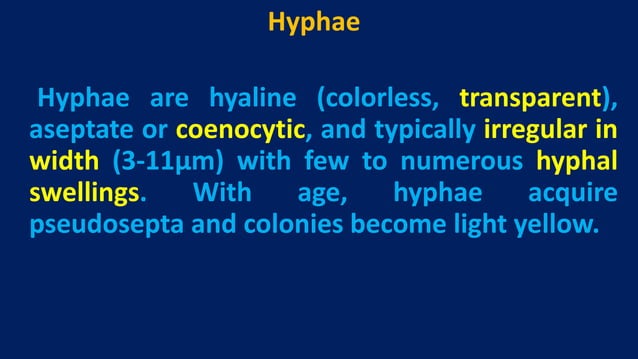 Phytophthora blight of Caster and Black shank of Tabocco | PPTX