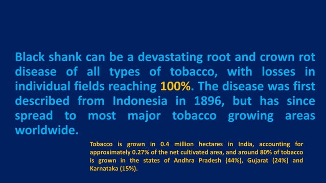 Phytophthora blight of Caster and Black shank of Tabocco | PPTX