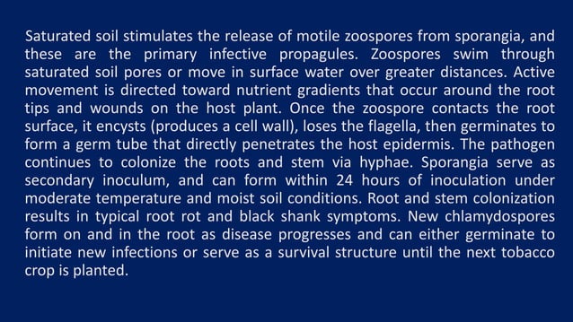 Phytophthora blight of Caster and Black shank of Tabocco | PPTX