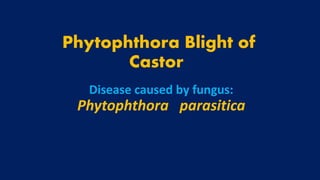 Phytophthora blight of Caster and Black shank of Tabocco | PPTX