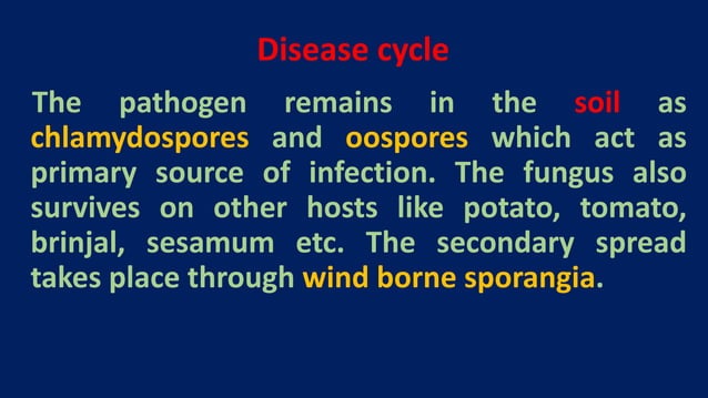 Phytophthora blight of Caster and Black shank of Tabocco | PPTX