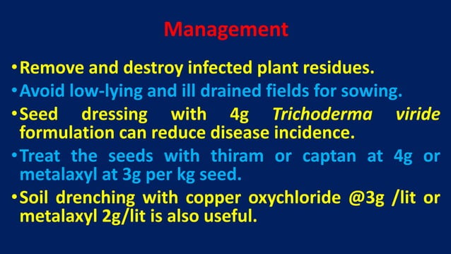 Phytophthora blight of Caster and Black shank of Tabocco | PPTX