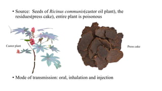 Castor poisoning | PPT
