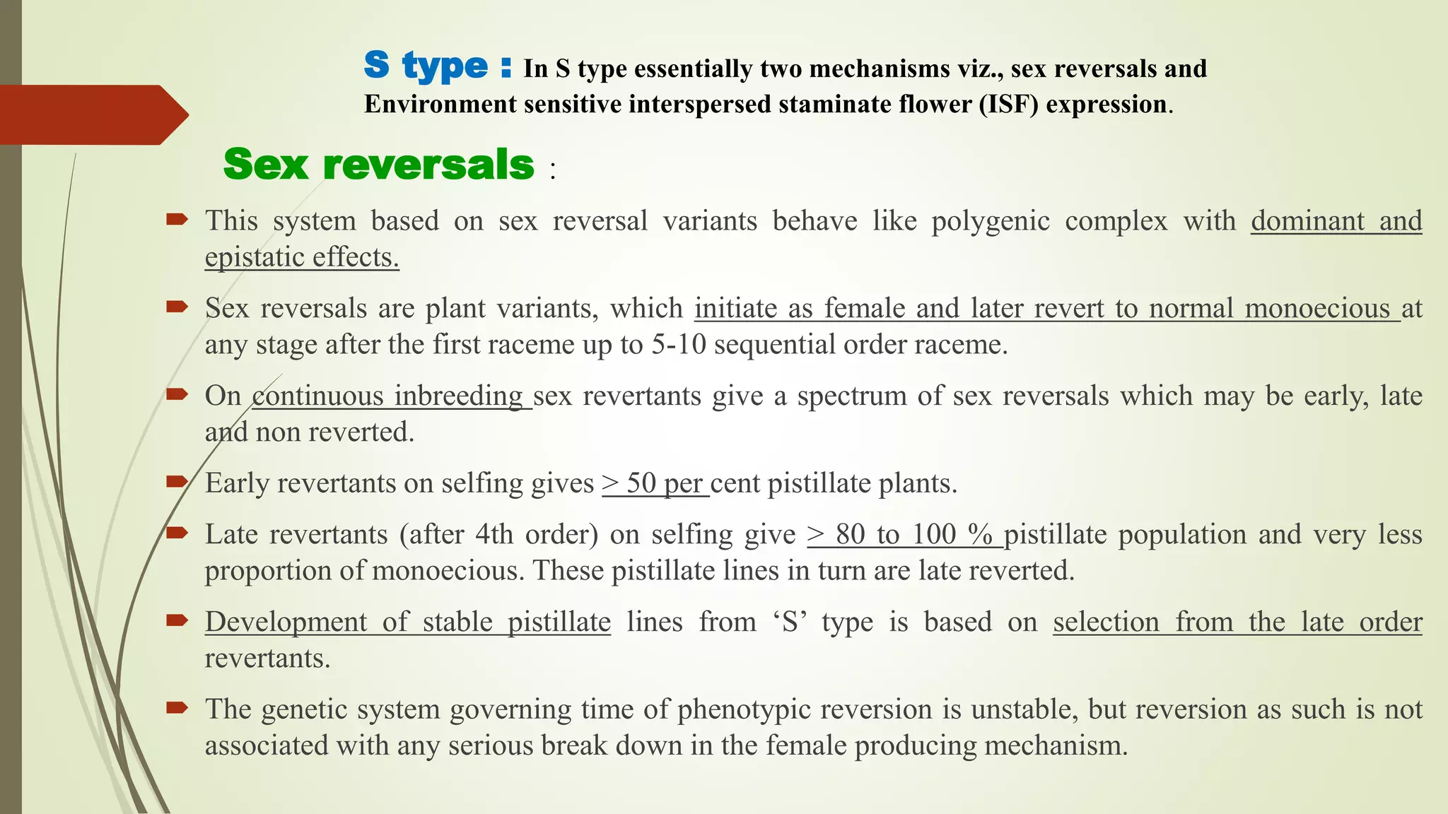Seed Production Technologies in Castor | PPTX