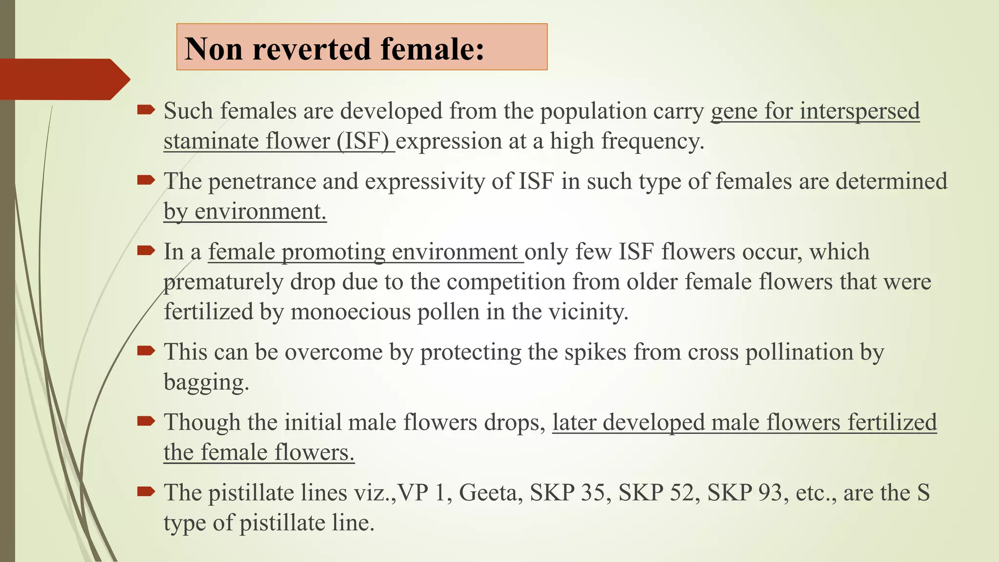 Seed Production Technologies in Castor | PPTX