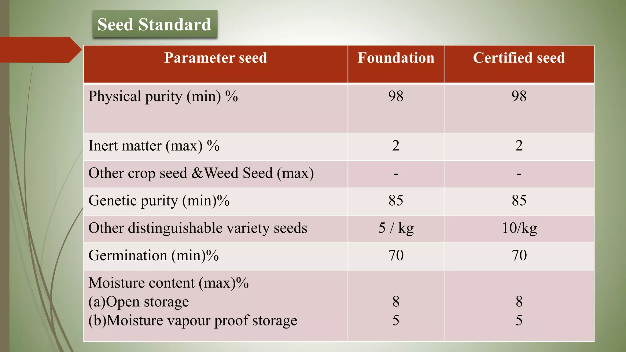 Seed Production Technologies in Castor | PPTX
