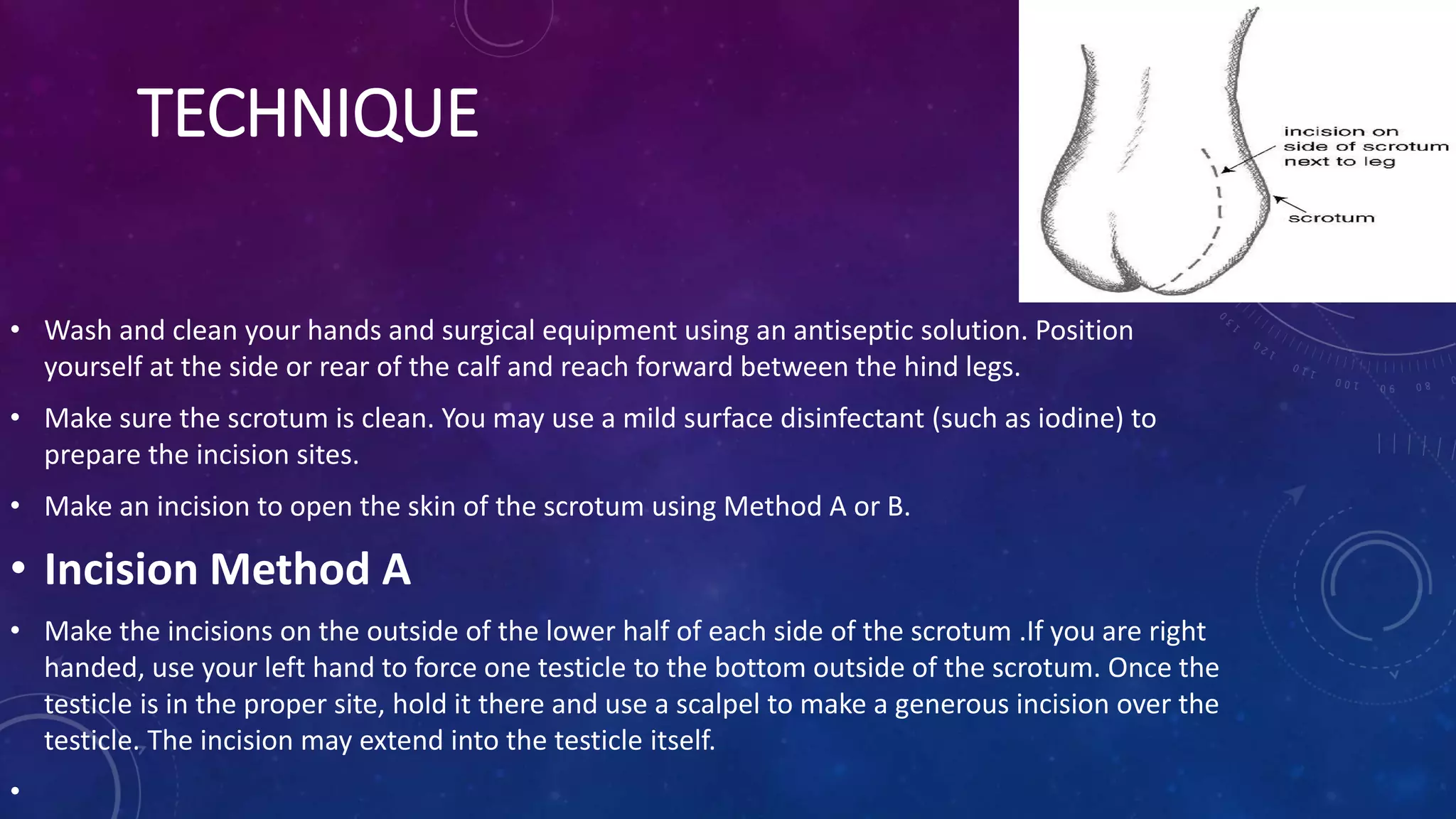 CASTRATION AND ITS TYPES IN VETERINARY ANIMALS | PPTX