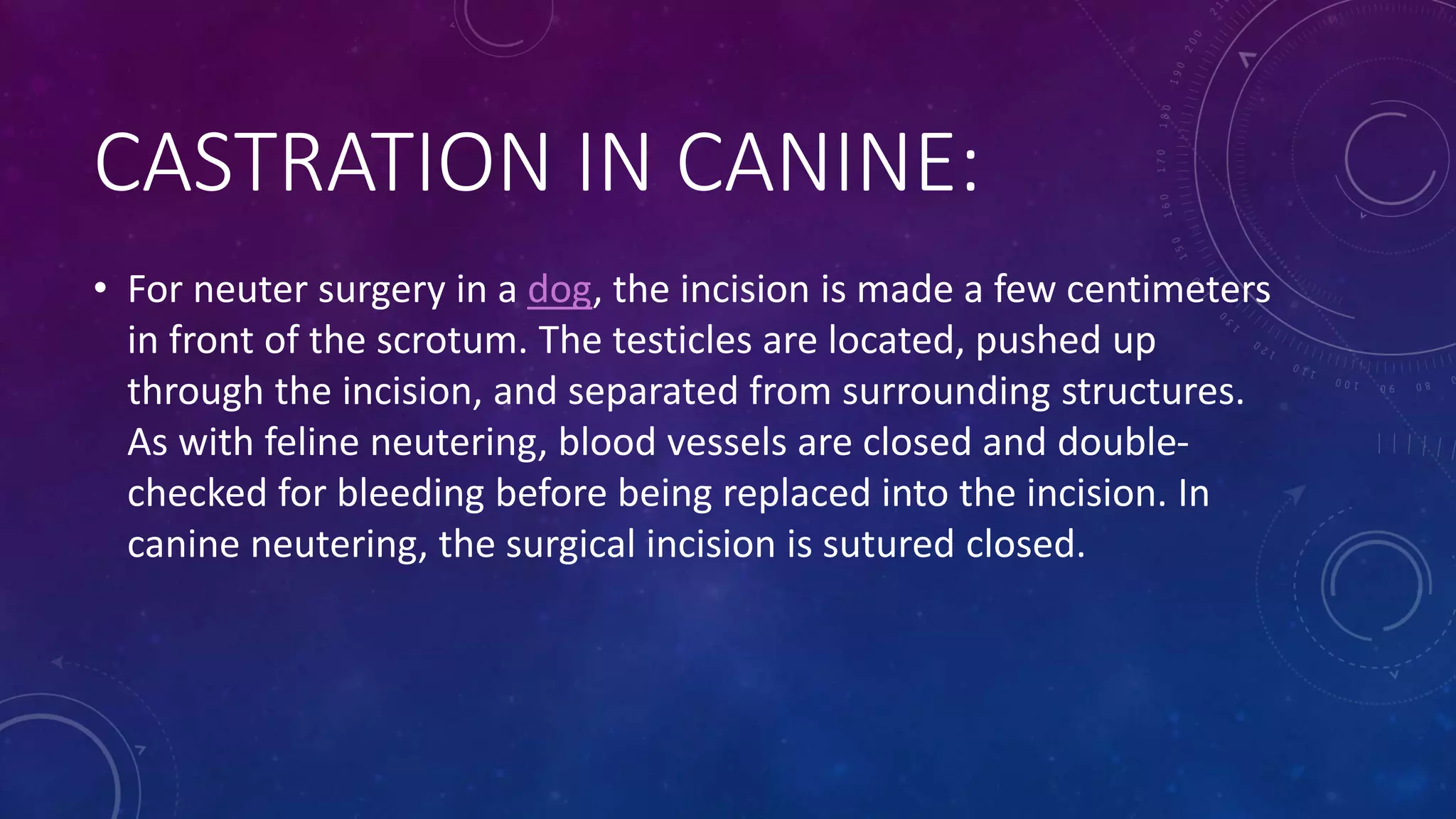 CASTRATION AND ITS TYPES IN VETERINARY ANIMALS | PPTX