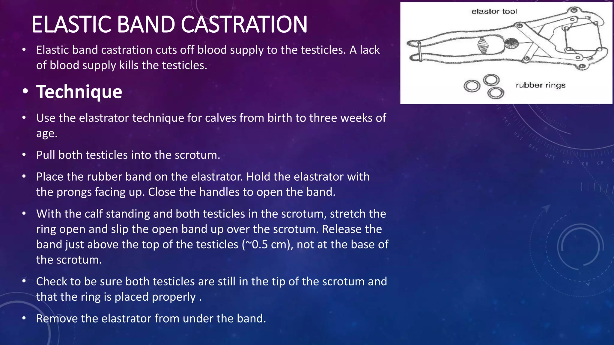 CASTRATION AND ITS TYPES IN VETERINARY ANIMALS | PPTX