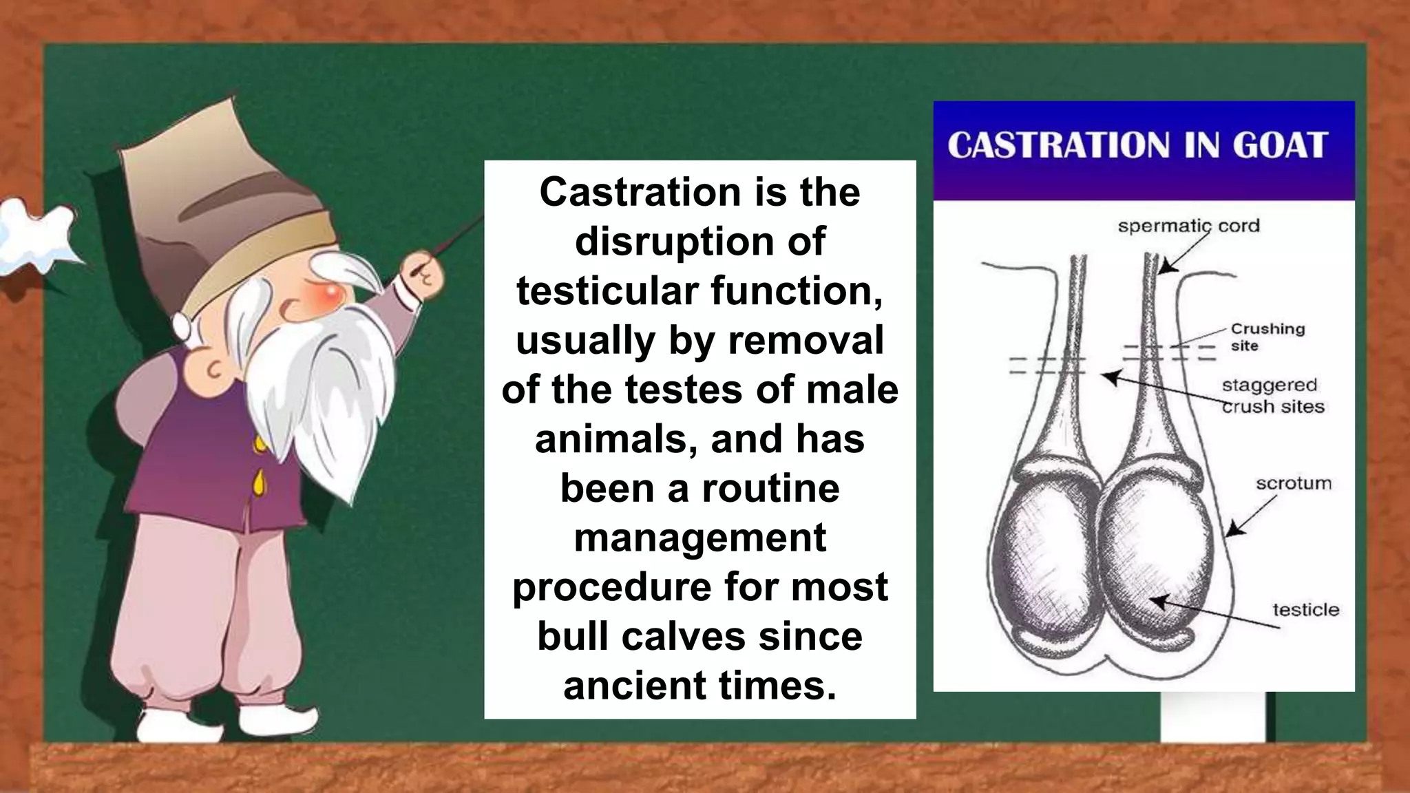 CASTRATION.pptx