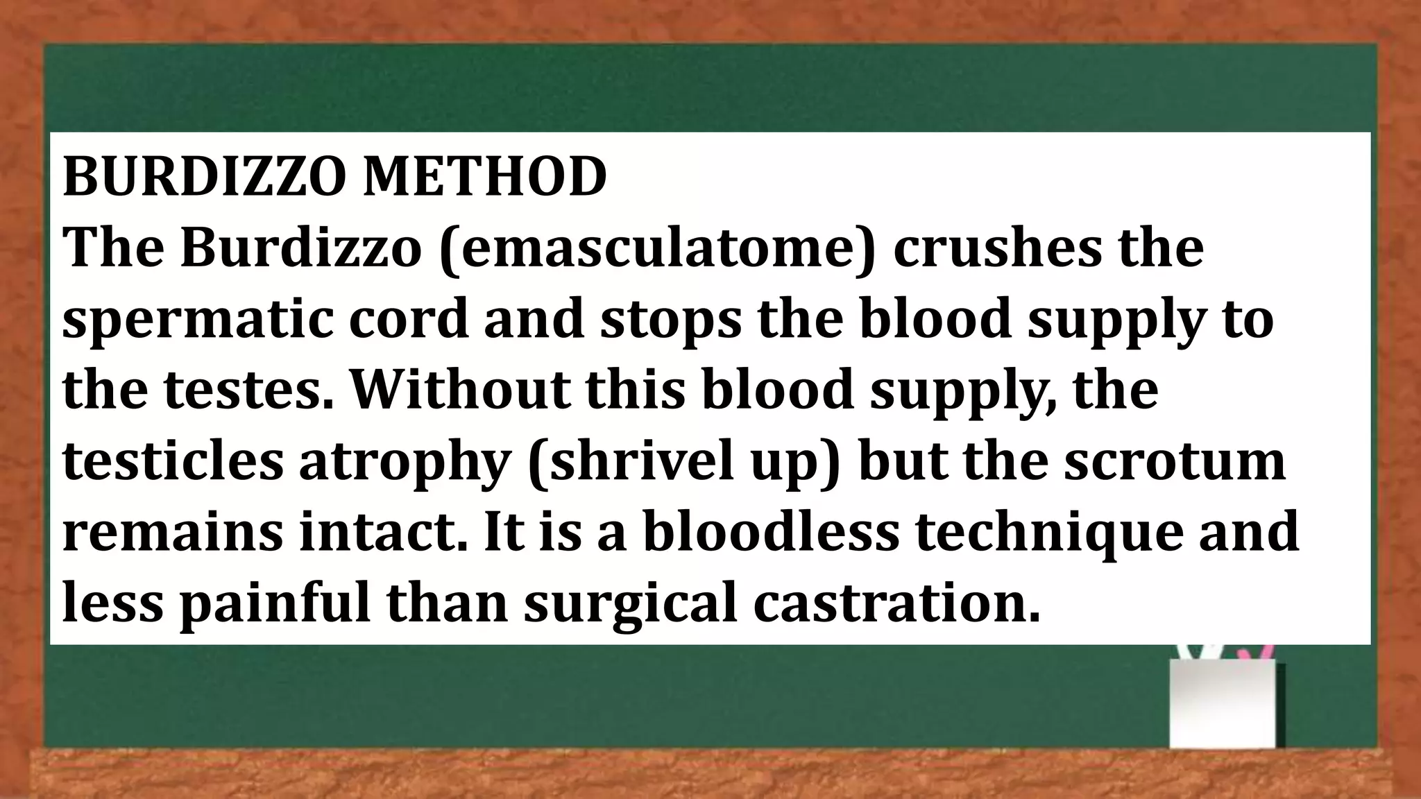 CASTRATION.pptx