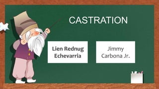 CASTRATION.pptx
