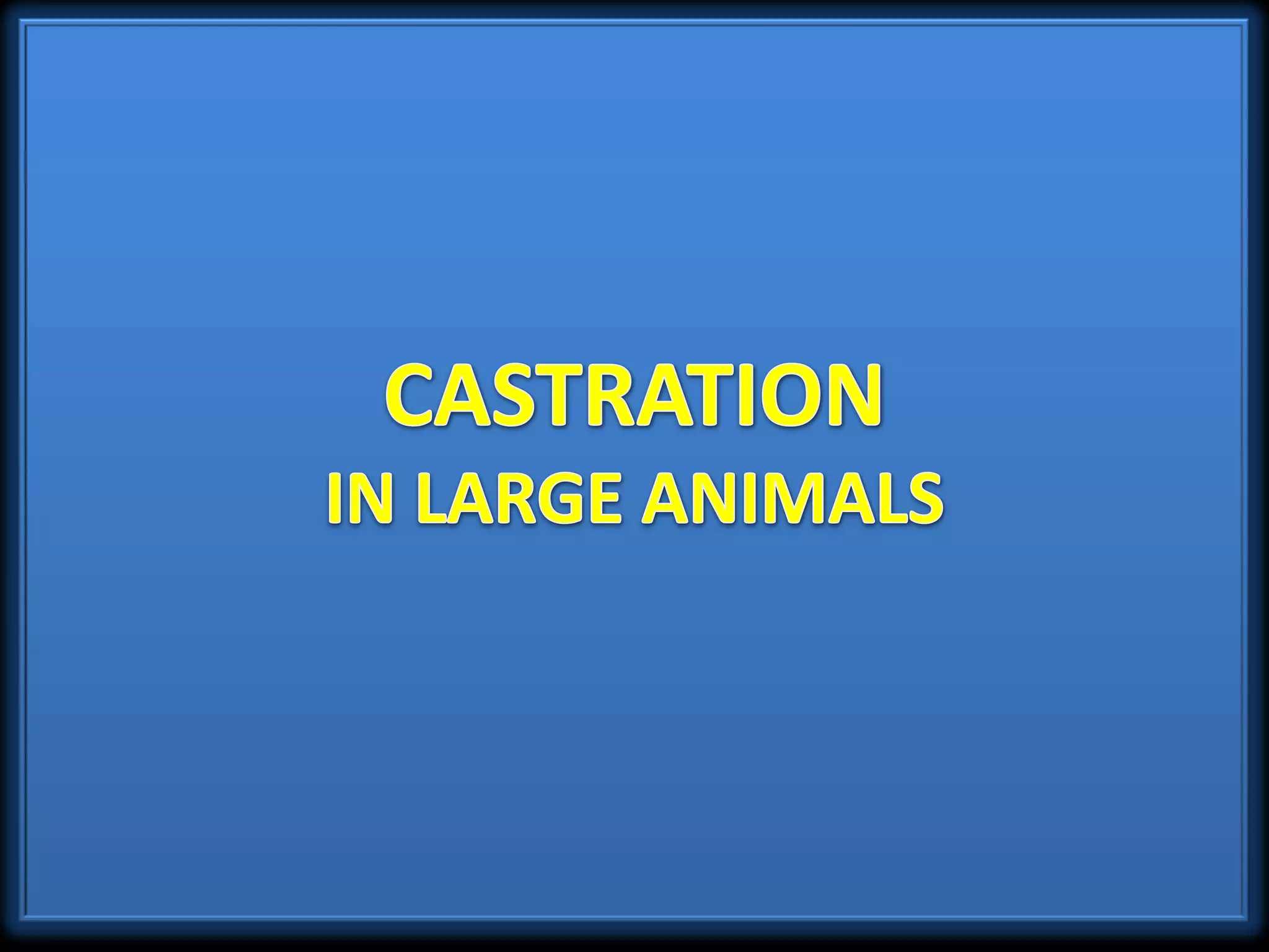 Castration Procedure in Farm Animals (Teaching PPT Material) | PPTX