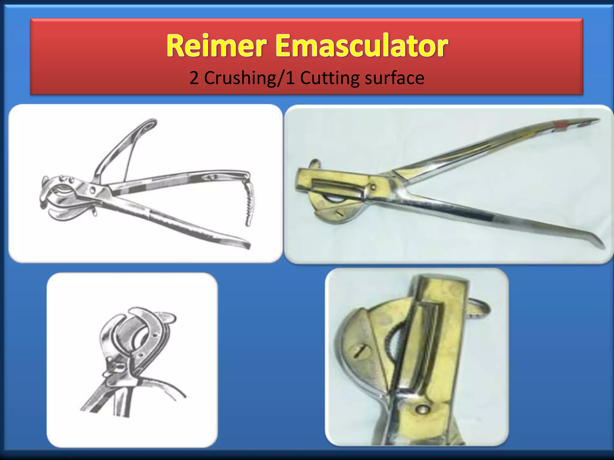 Castration Procedure in Farm Animals (Teaching PPT Material) | PPTX