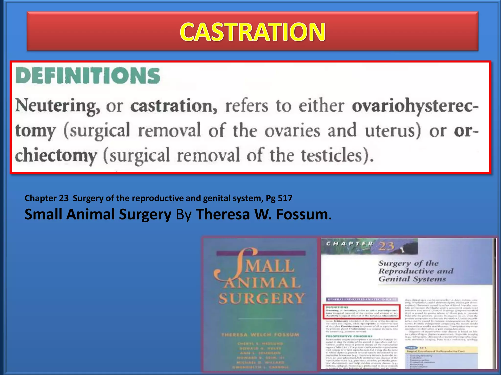 Castration Procedure in Farm Animals (Teaching PPT Material) | PPTX ...