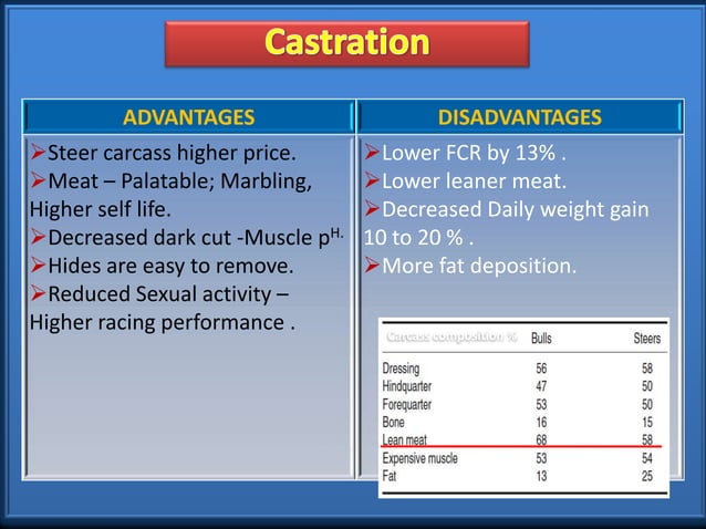 Castration Procedure in Farm Animals (Teaching PPT Material) | PPTX | Infertility | Reproductive ...
